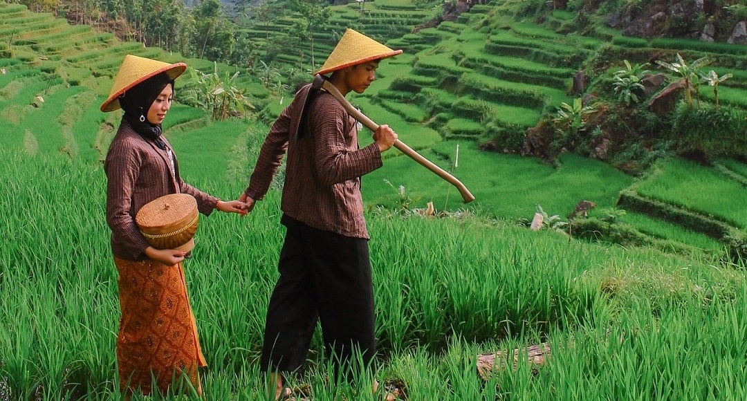 Investing in Indonesia | Indonesia Investments
